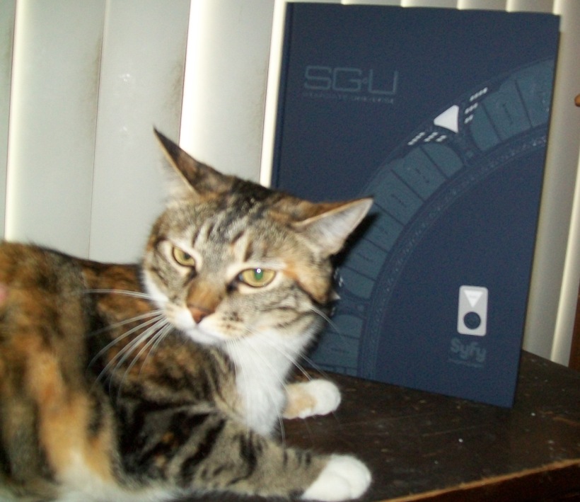 Stargate Universe Press Kit Arrives Through Wormhole! - WormholeRiders ...